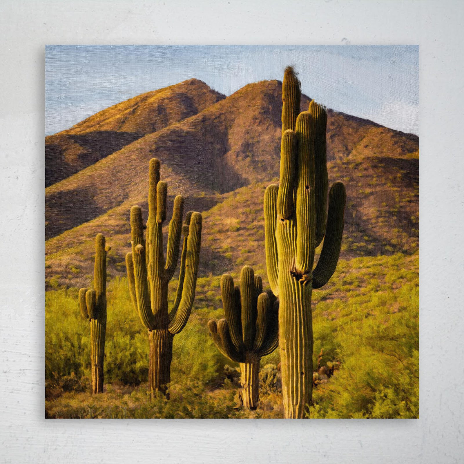 Foundry Select Four Cacti On The Land Near Mountain - 1 Piece Square Graphic Art Print On ...